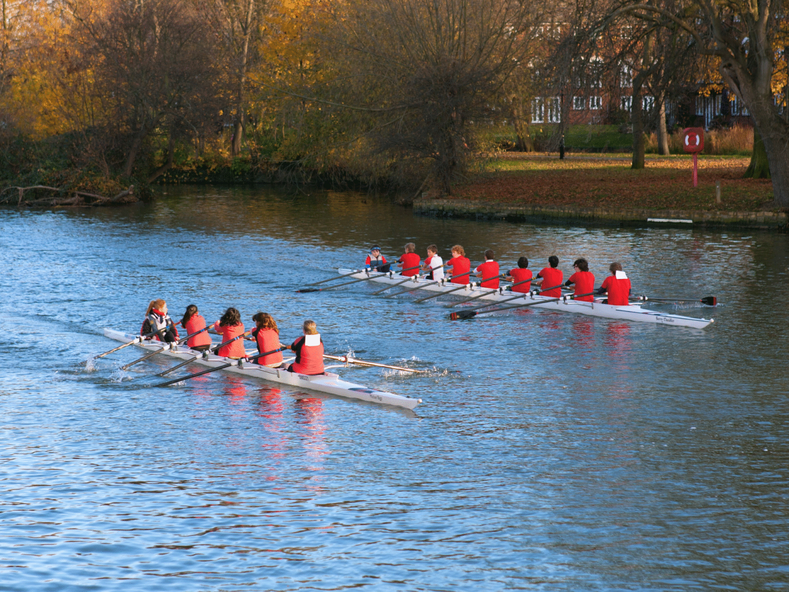 Head of the Charles Regatta - New England Coastal Creative